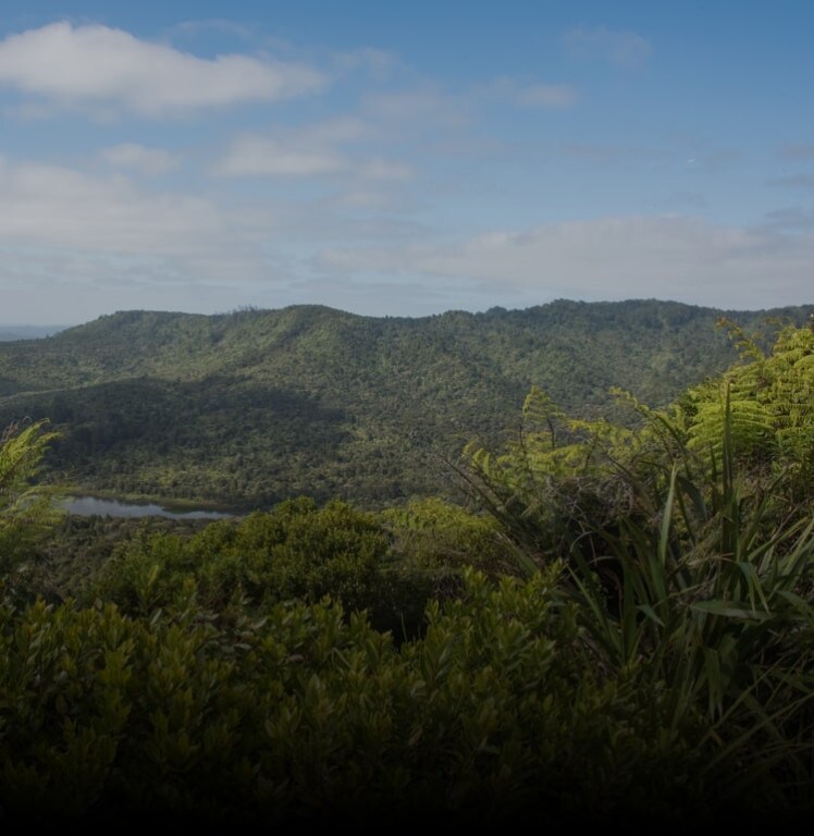 The Nutella® vanillin | Nutella® Australia | Official Website