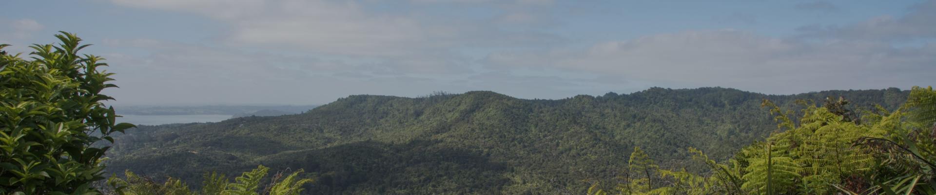 The Nutella® palm oil | Nutella® Australia | Official Website