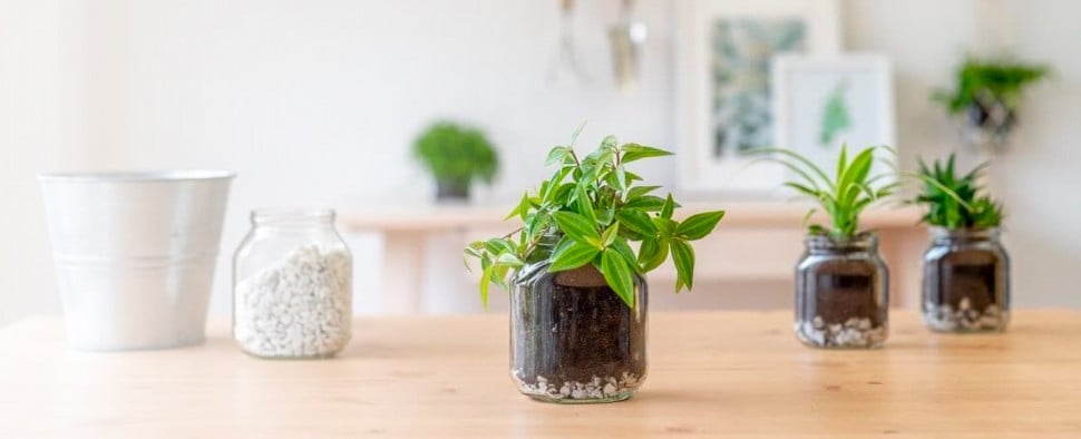 Homepage | Nutella® Australia | Official Website