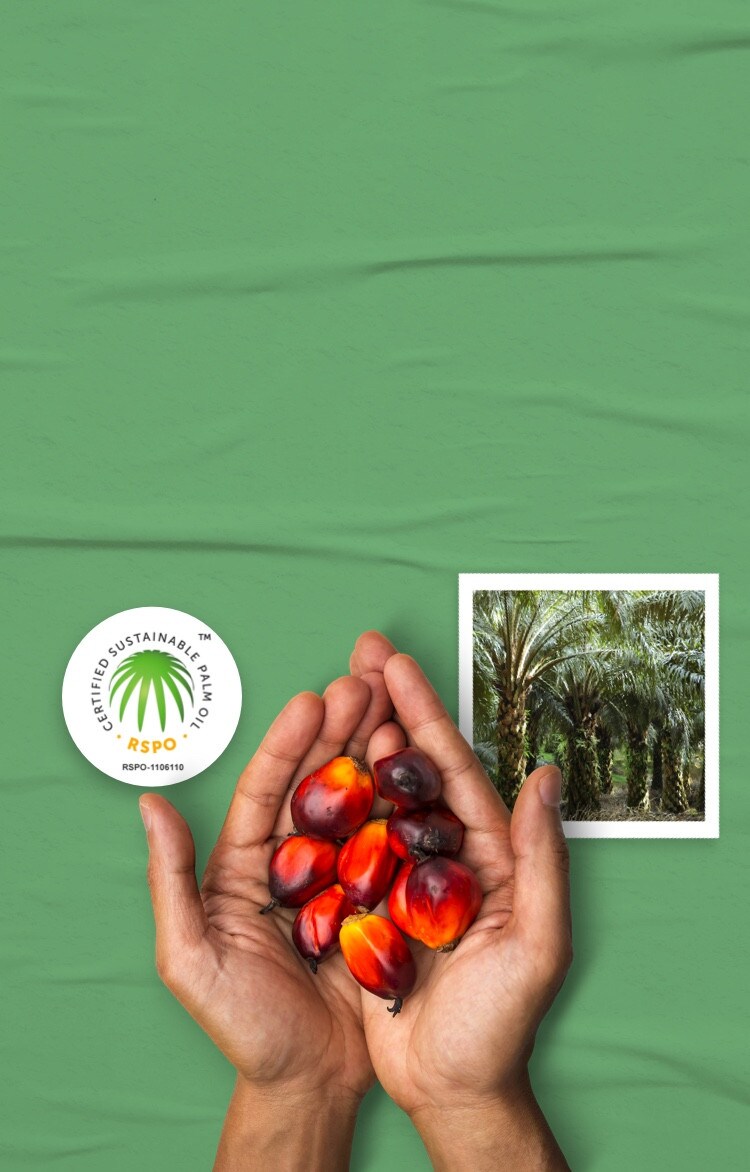 Homepage | Nutella® Brasil | Official Website