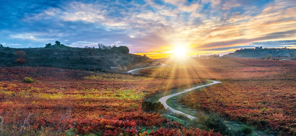 Summer map 2025 | Nutella® España | Official Website