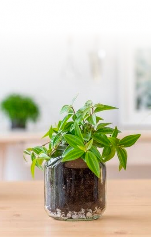 Homepage | Nutella® Israel | Official Website