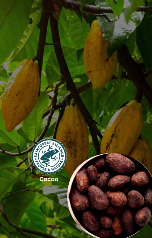 Homepage | Nutella® Israel | Official Website