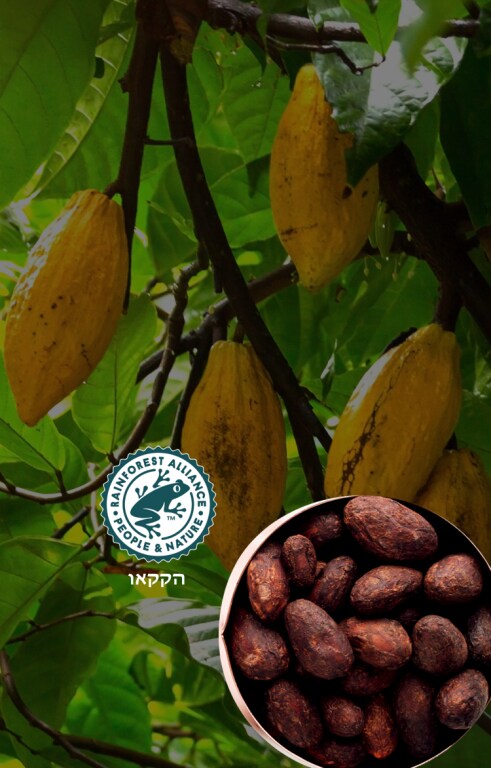 Homepage | Nutella® Israel | Official Website