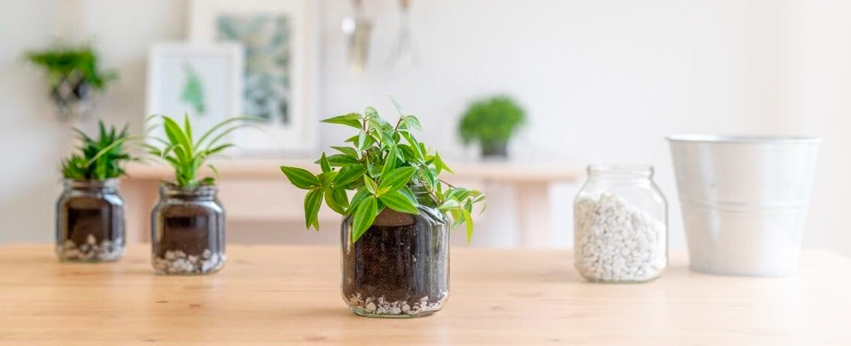 Homepage | Nutella® Israel | Official Website