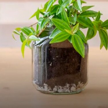 Homepage | Nutella® Israel | Official Website