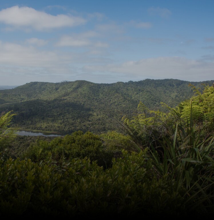 The Palm Oil in Nutella® | Nutella® | Official Website